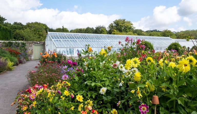 Gardens and garden design in East and West Sussex - Barry Holdsworth ...