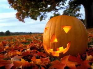 Halloween and pumpkins - Barry Holdsworth - Garden Design and Consultancy
